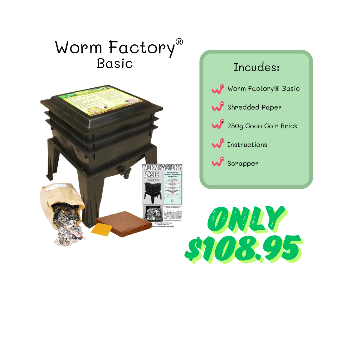 Worm Factory Standard®, Kitchen Composter | Marlé Worm Growers
