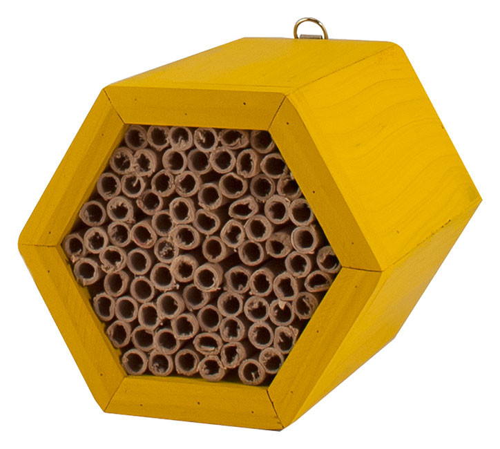 Mason Bee House Honey Comb - Marlé Worm Growers