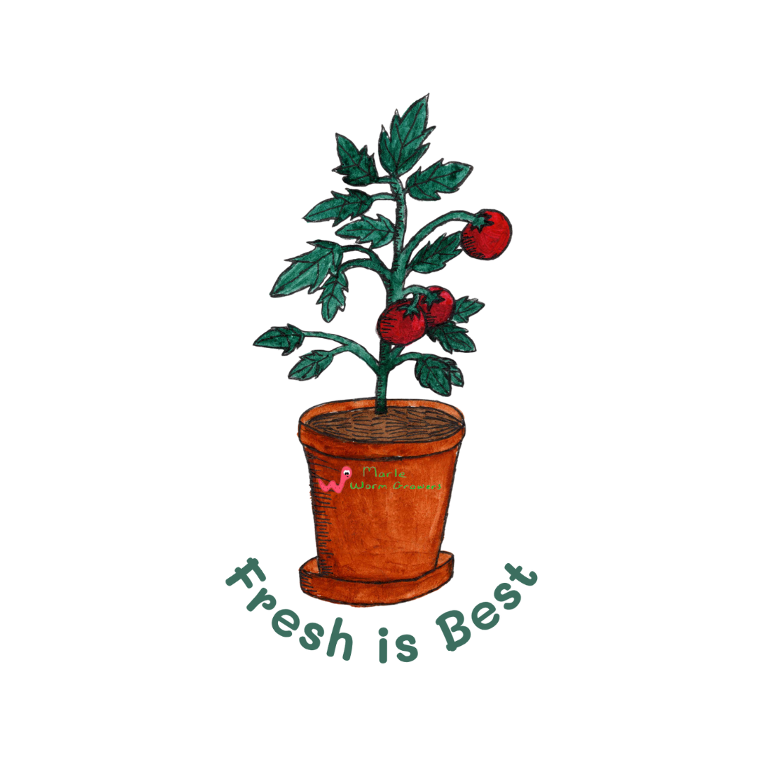 Fresh is Best Sticker - Marlé Worm Growers