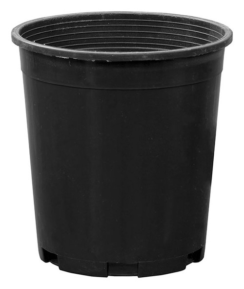 Nursery Pot 1 Gallon - Marlé Worm Growers
