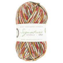 WYS Signature 4ply Yarn - 100g - Yuletide (1208) - Woolstack