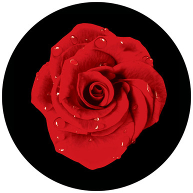 Red Rose - Apollo Glass Gobo #C2-0127 - Norcostco