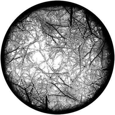 Underbrush Snow - Apollo Glass Gobo #SR-6130 - Norcostco