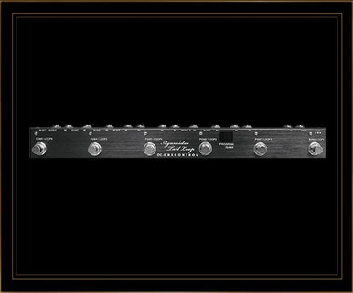The Guitar Sanctuary | One Control | Agamidae Tail | Loop 6-Loop Switcher