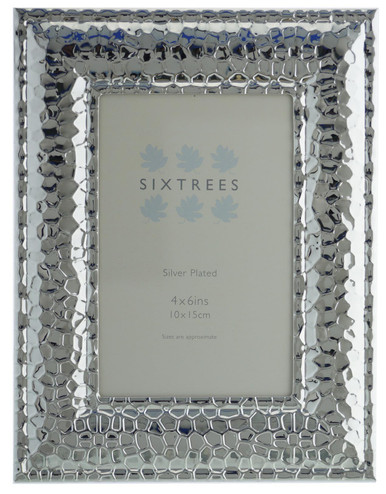 Sixtrees 6-314-46 Thorburn Embossed Silver Plated 6 x 4 inch Photo ...