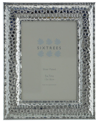 Sixtrees 6-314-57 Thorburn Embossed Silver Plated 7 x 5 inch Photo ...