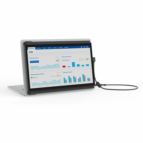 Mobile Pixels DUEX Plus 101-1006P04 13" Class LCD Monitor - Black