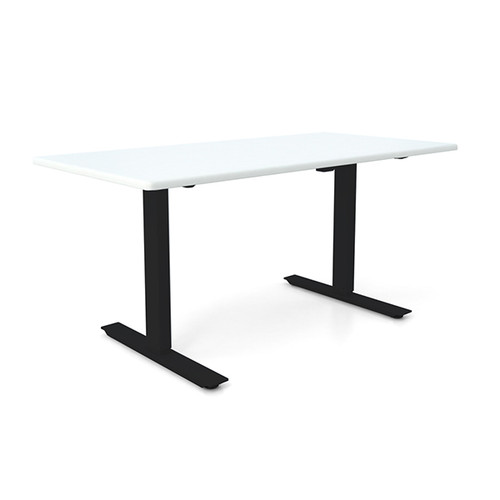30"X 48" Height Adjustable Desk | Ergonomic Desk