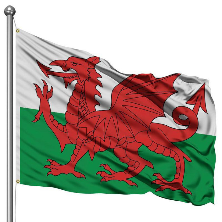 WALES FLAG - Onside Sports