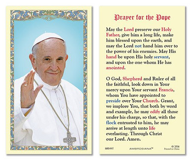 Pope Francis (Prayer for the Pope) Laminated Holy Card - 25/pk ...