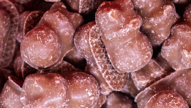 Chocolate Covered Strawberry Jelly Pigs 100g