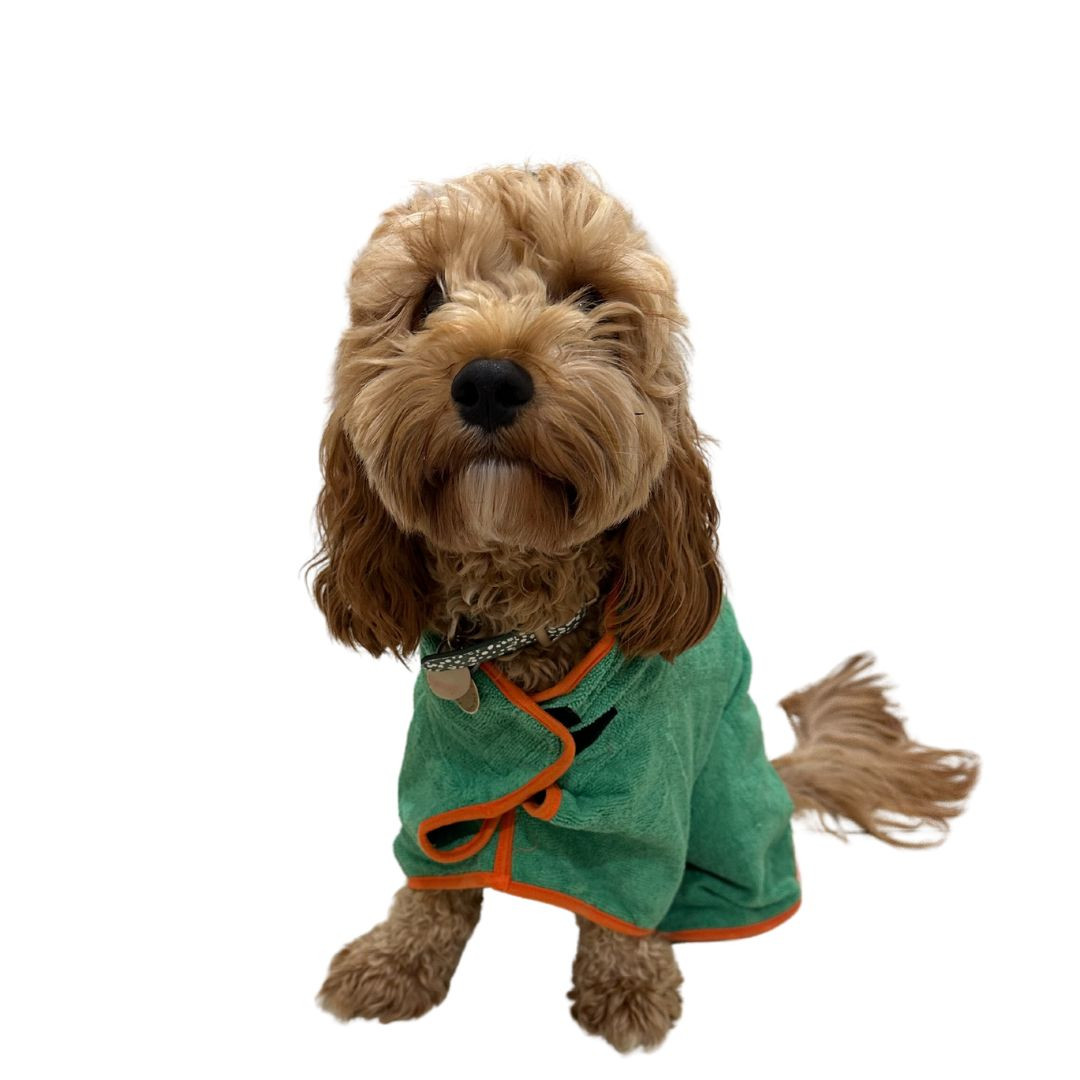 Dog Bath Robe- Super Absorbent