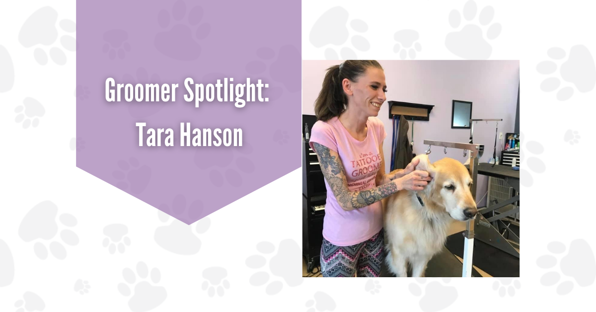 Groomer Spotlight: Tara Hanson and D-Tails Pet Spa - GroomersChoice.com