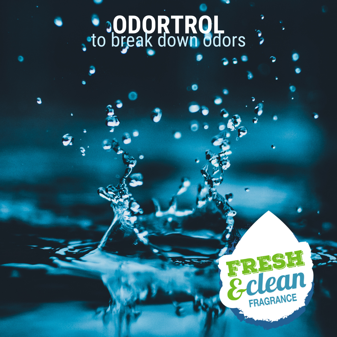 Green Groom Odor Eliminator Shampoo 5 Gallon Pail | Groomer's Choice