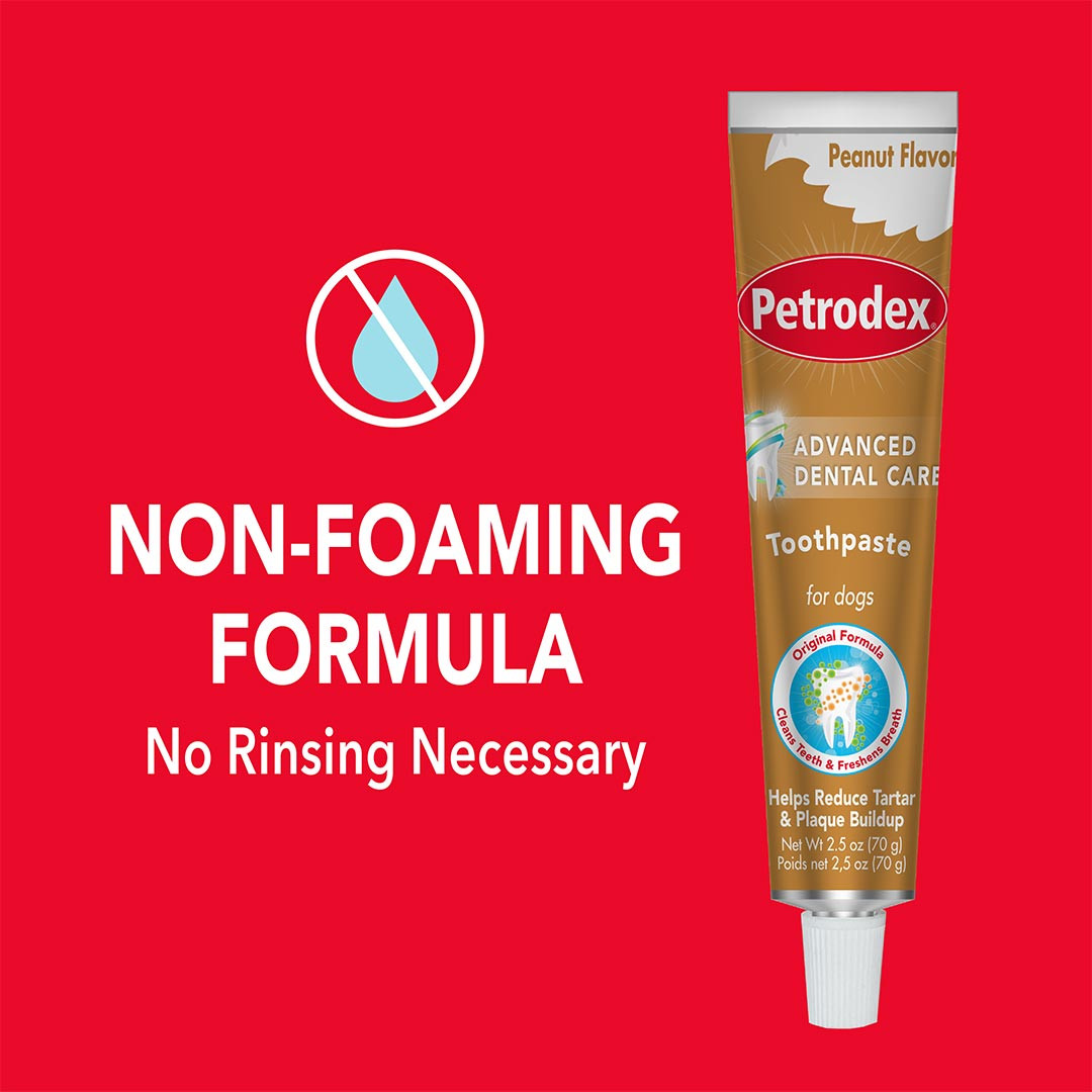 Petrodex Toothpaste Peanut Flavor 2.5 oz | Groomer's Choice