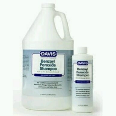 Davis Benzoyl Peroxide Shampoo, 1 Gallon | Groomer's Choice