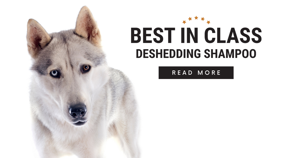 Best in Class: Your New Go-To Deshedding Shampoo (Infographic ...