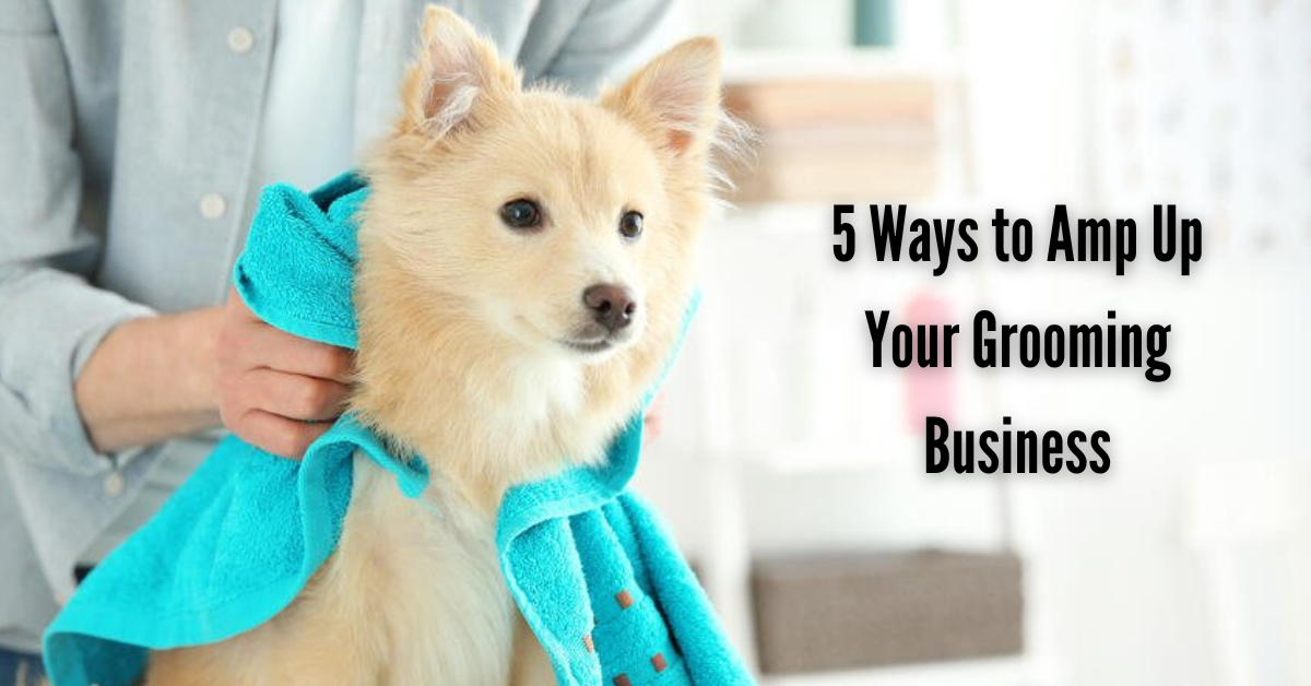 5 Ways to Amp Up Your Grooming Business - GroomersChoice.com