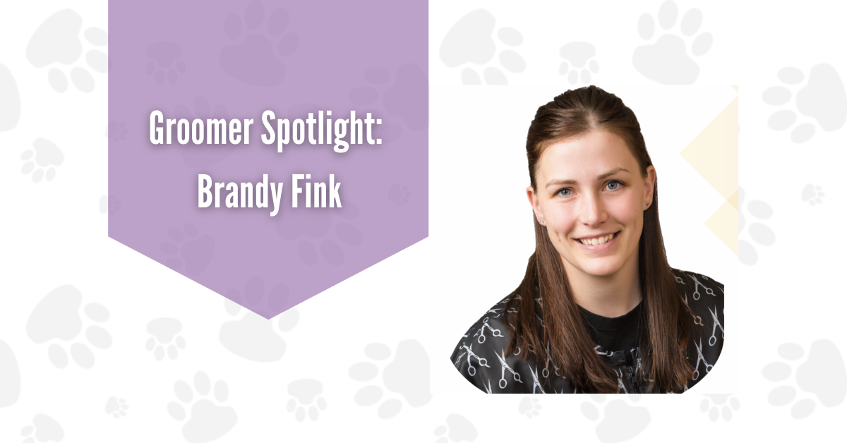 Groomer Spotlight: Brandy Fink - GroomersChoice.com