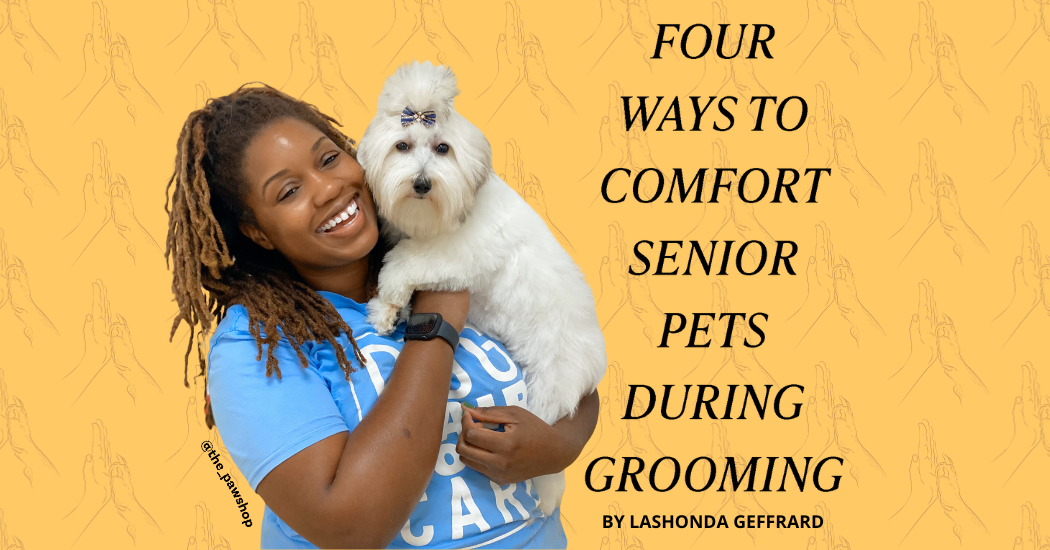 Four Ways to Comfort Senior Pets During Grooming - GroomersChoice.com