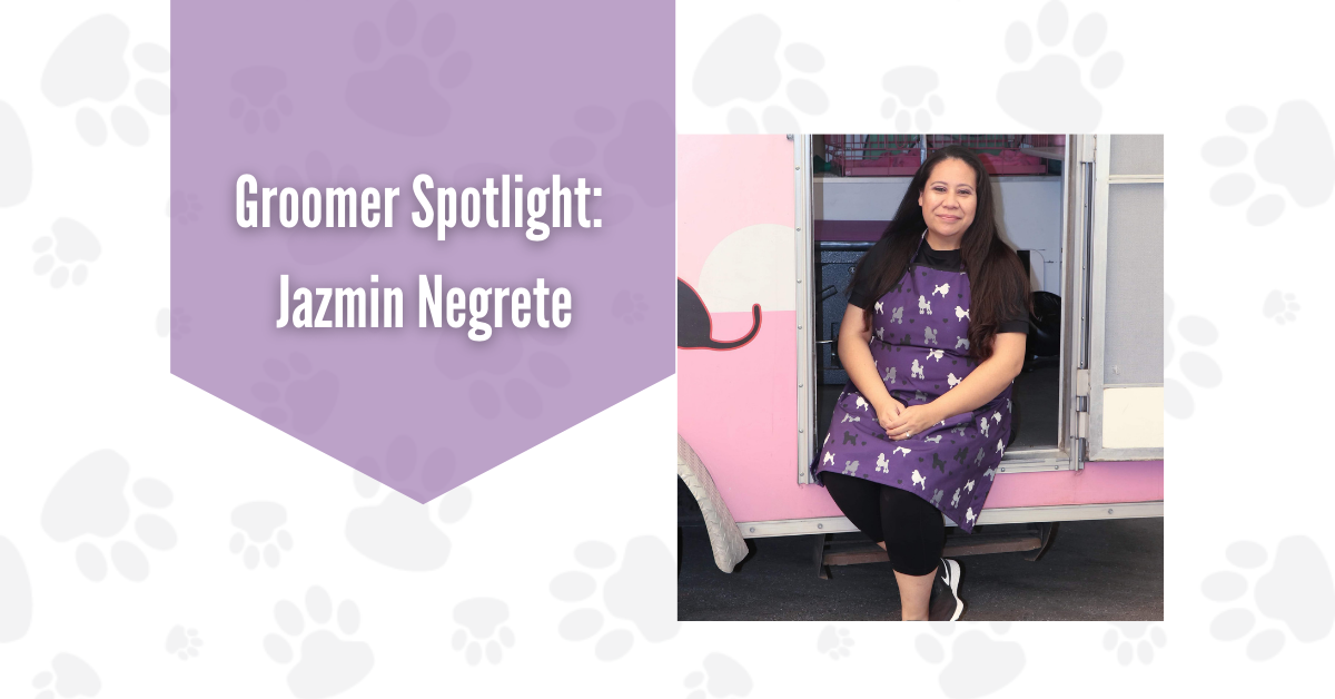 Groomer Spotlight: Jazmin Negrete and A Brand New Dog - GroomersChoice.com