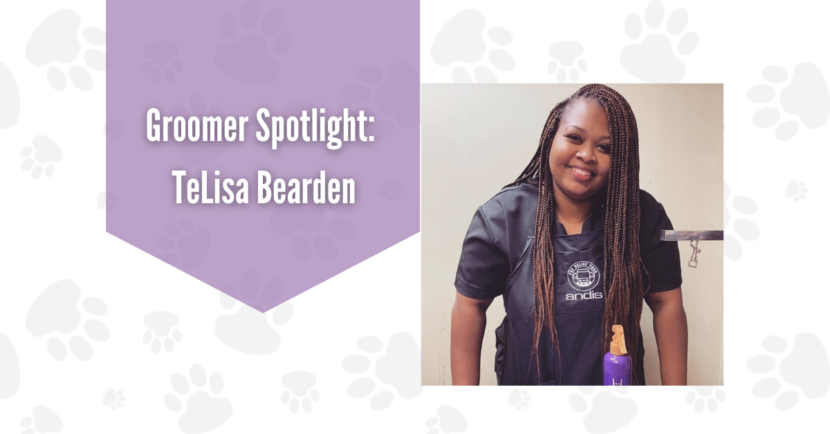 Groomer Spotlight on TeLisa Bearden: From Train Wreck to Catwalk in an ...