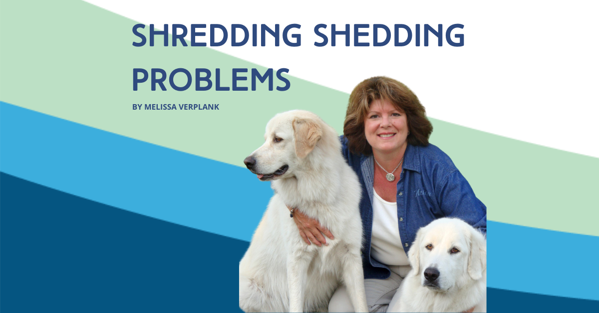 Shredding Shedding Problems - GroomersChoice.com