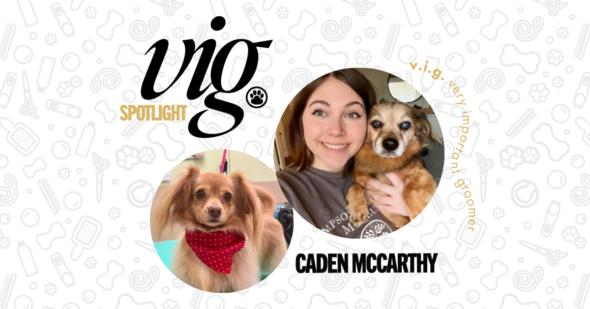 VIG Spotlight: Caden McCarthy - GroomersChoice.com