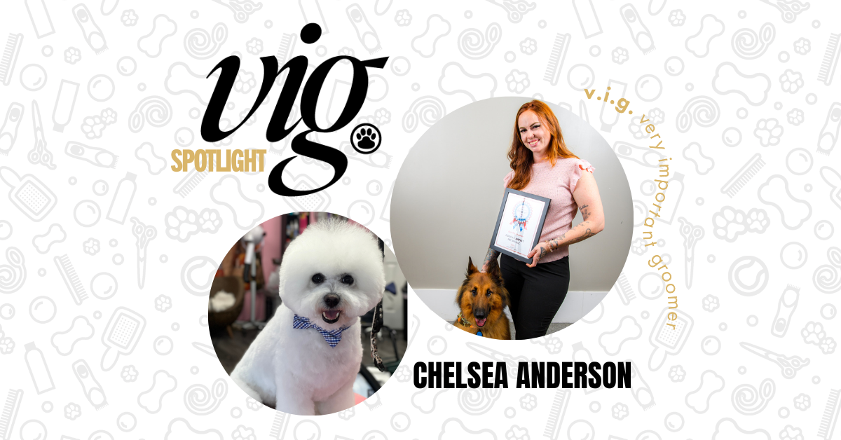 VIG Spotlight: Chelsea Anderson - GroomersChoice.com