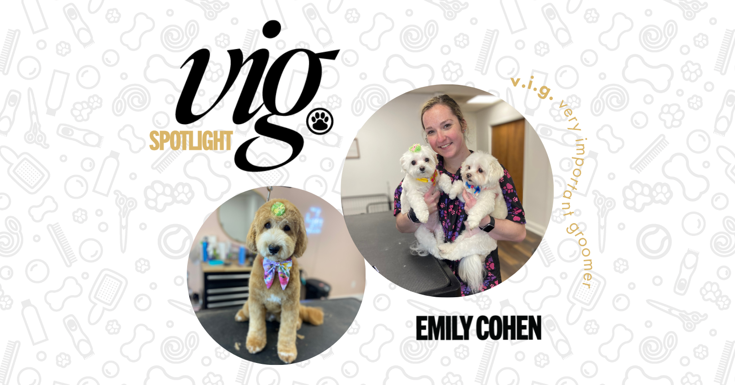 VIG Spotlight: Emily Cohen - GroomersChoice.com