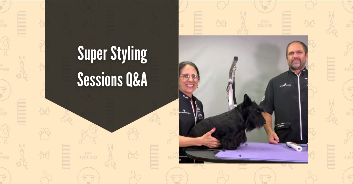 Super Styling Sessions Q&A with Jay Scruggs and Sue Zecco ...