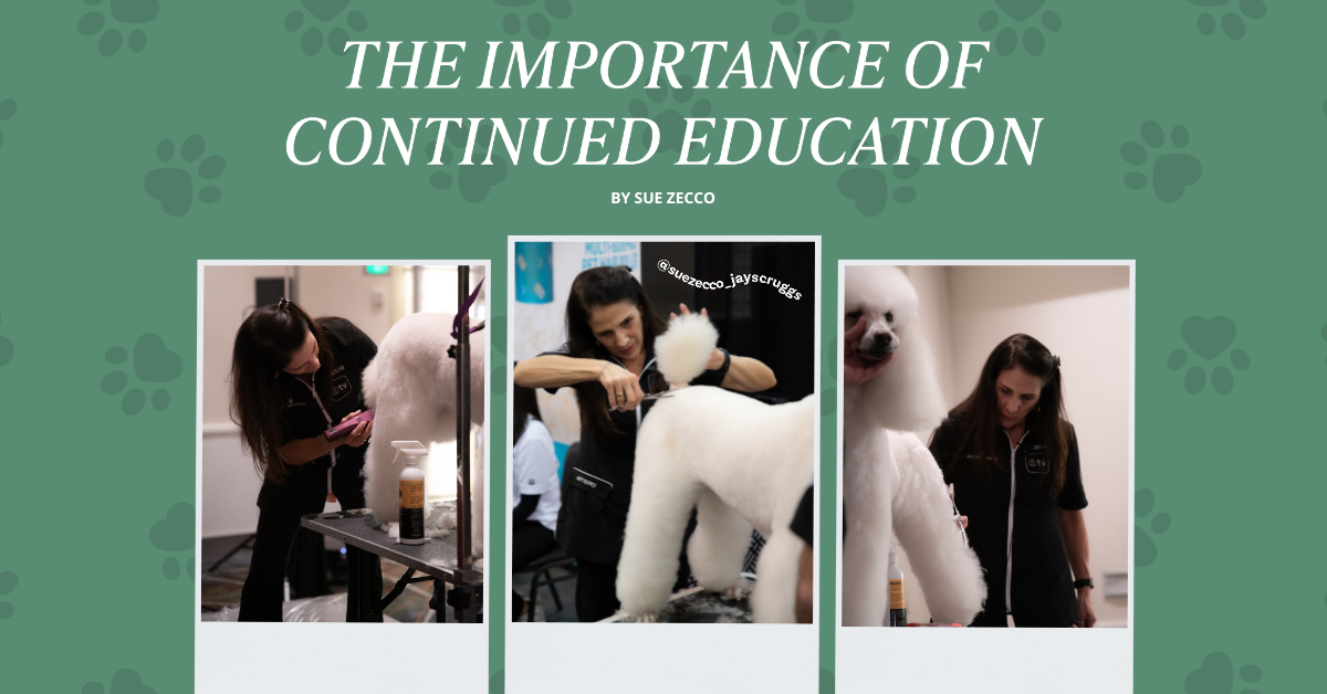 The Importance of Continued Education - GroomersChoice.com
