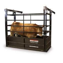 Livestock Scales - Equipment For Livestock Weighing Online