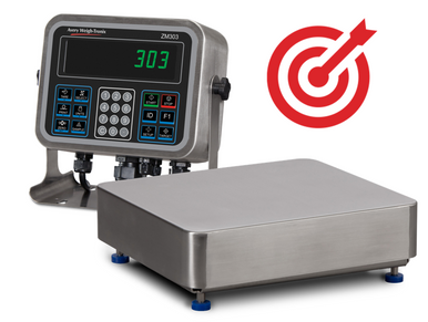 Avery Weigh-Tronix AWT05-507427 ZM303 Indicator Linked to BSG Torsion ...