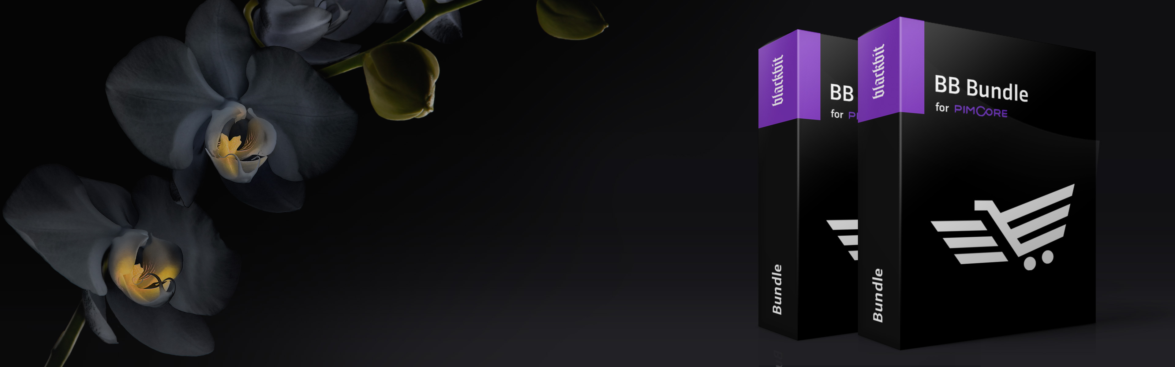 Pimcore Bundles von Blackbit