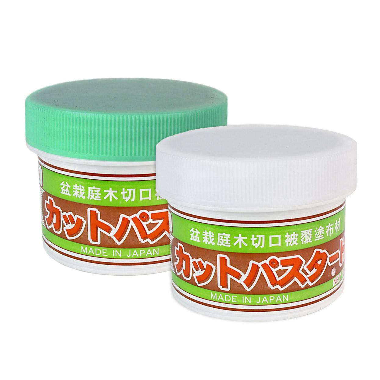 Bonsai Cut Paste - Set of 2 - Eastern Leaf