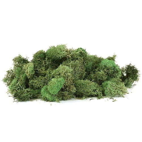 Sheet Moss from Easternleaf.com; Sheet Moss can be used to add texture ...