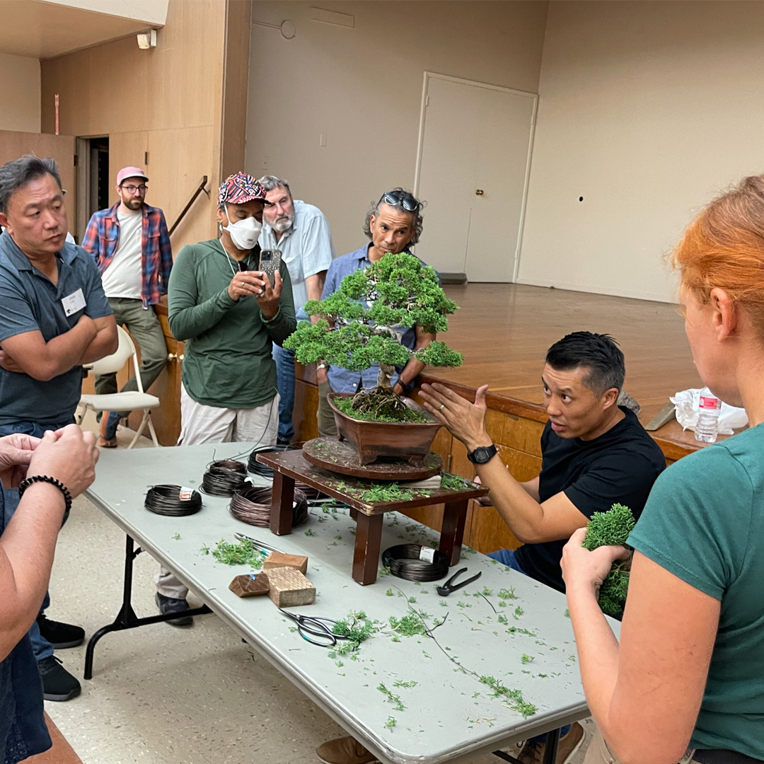 East Bay Bonsai Society Show 2023 - Eastern Leaf