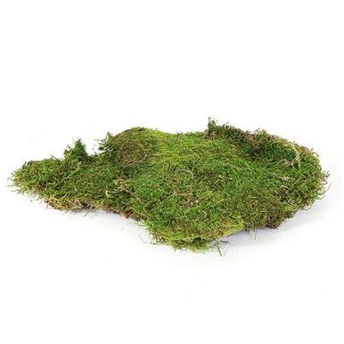 Sheet Moss from Easternleaf.com; Sheet Moss can be used to add texture ...