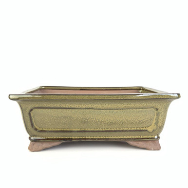 8" Traditional Rectangle Bonsai Pot - Tan - Eastern Leaf