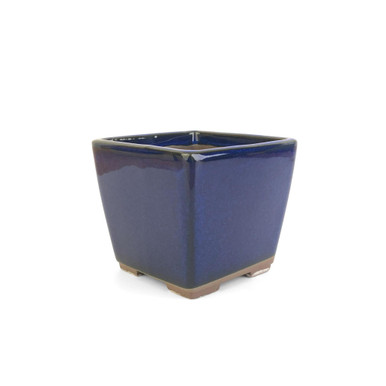 3.5" Square Bonsai Pot - Dark Blue - Eastern Leaf
