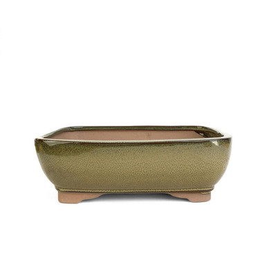 8.5" Rounded Rectangle Bonsai Pot - Tan - Eastern Leaf