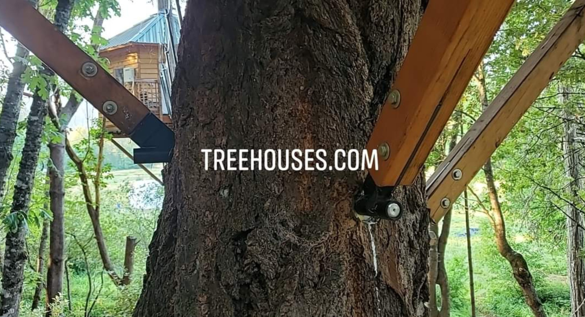 Treehouse Parts Store