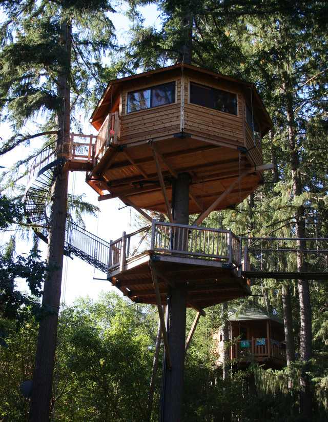 Treehouse Parts Store