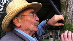 1\2 hour Treehouse consultation with a Tree house Consultant ...