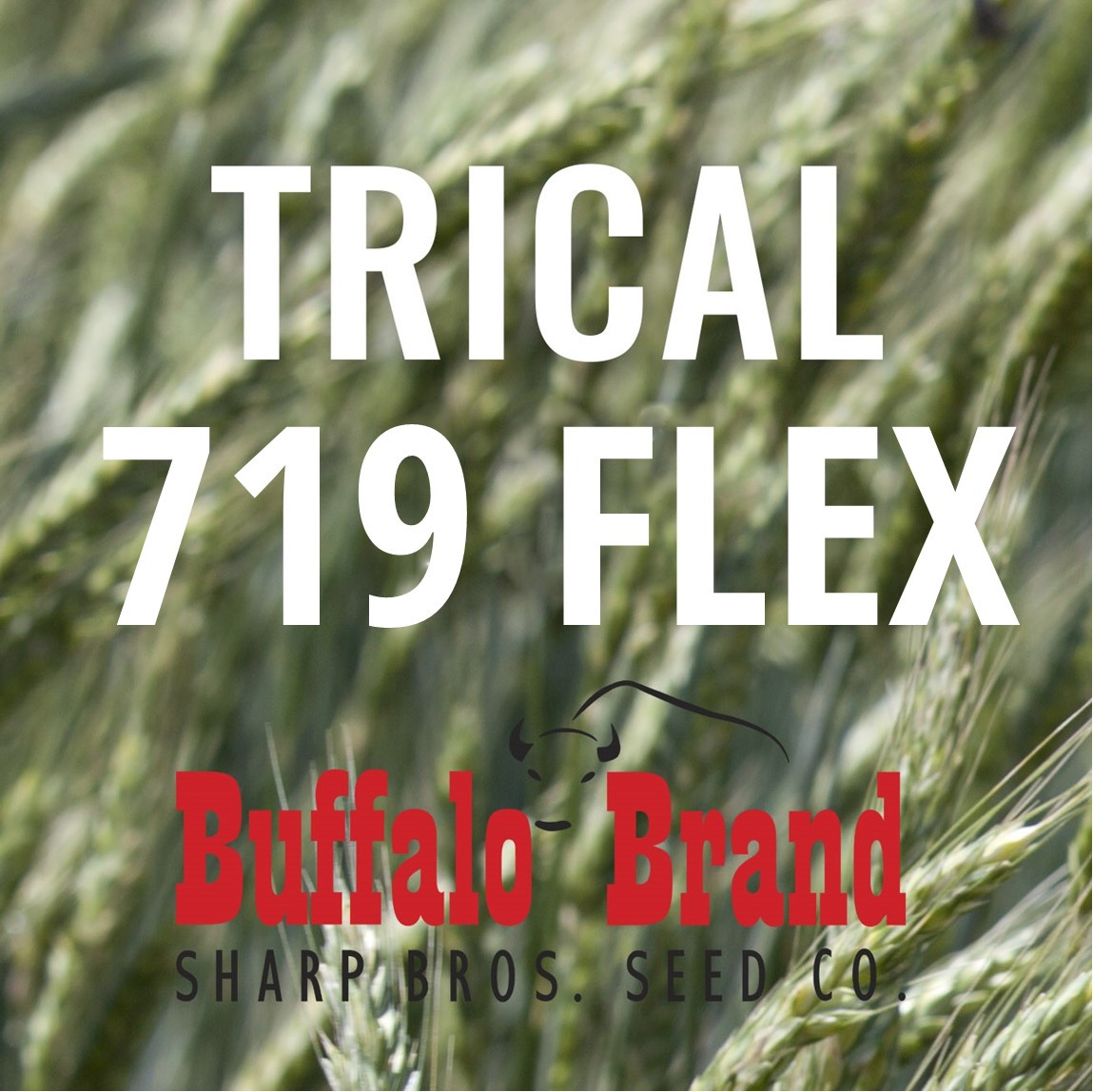 Trical 719 Flex Awnletted Medium Maturity