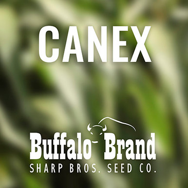 Canex