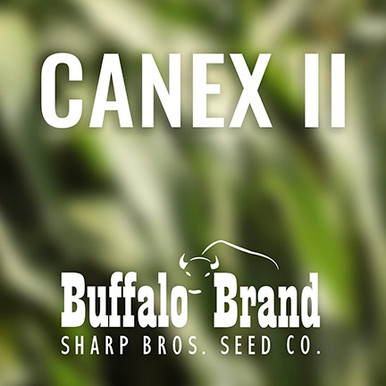Canex II