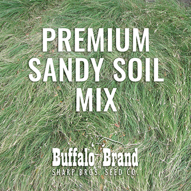 Grass seed for sandy soil store
