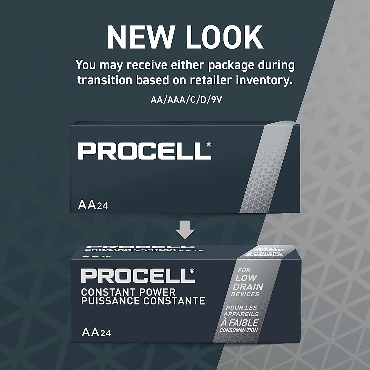 Procell® AAA Alkaline Batteries, Box of 24